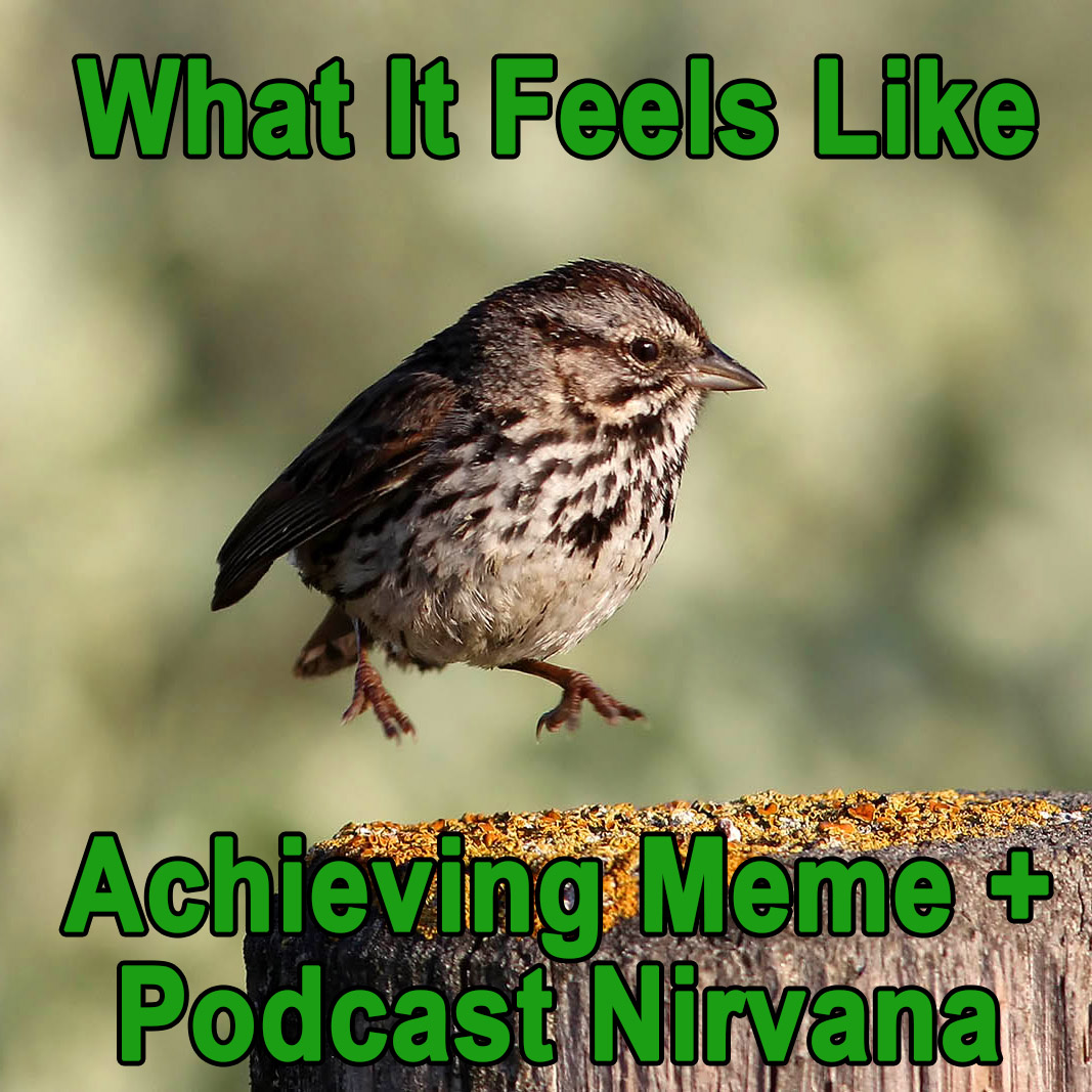 #40: The Crazy World of Wild Green Ecological Memes – Rhett Barker and ...